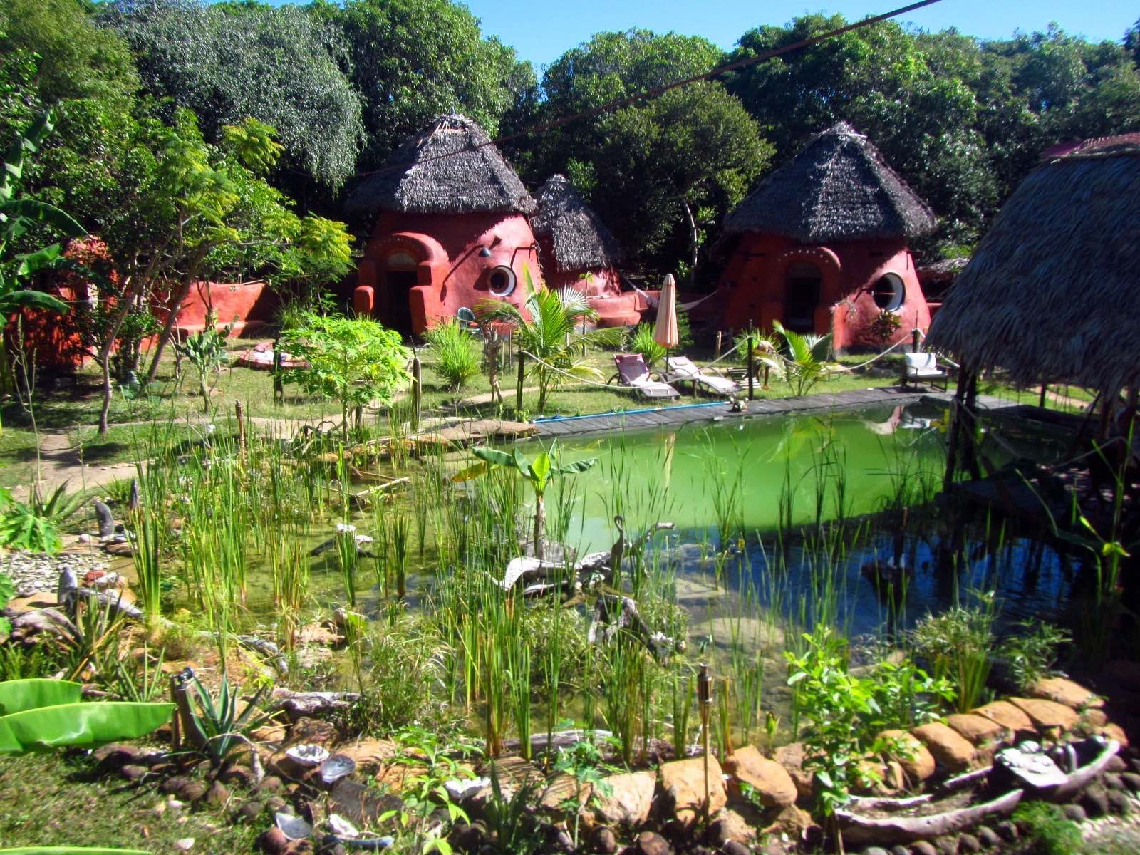 Jungle Lodge - Jungle Park Adventure