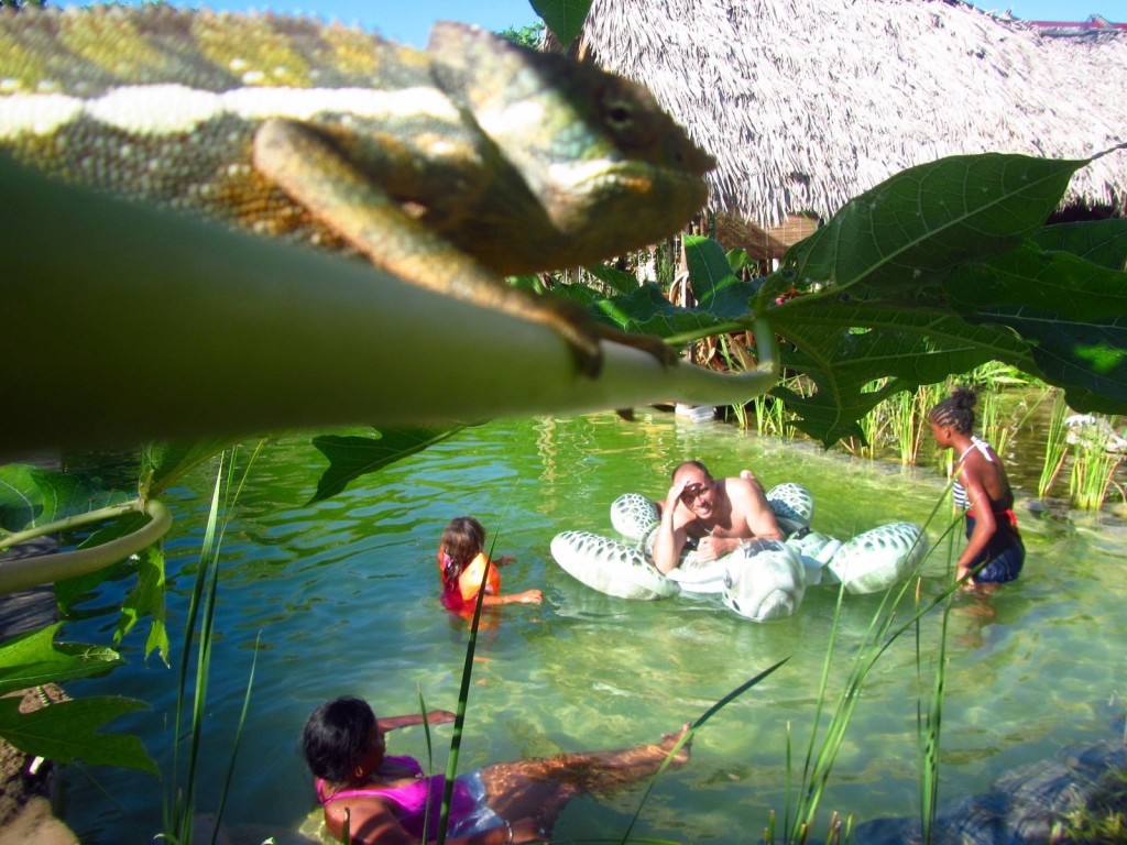 Jungle Pool - Jungle Park Adventure