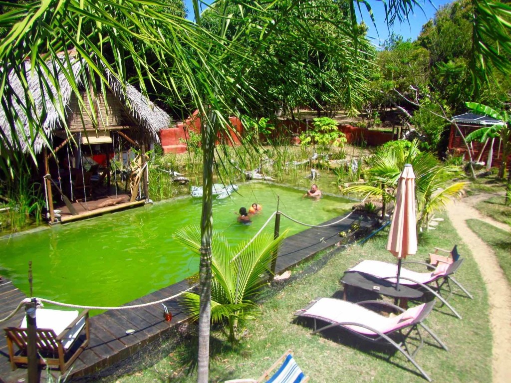 Jungle Pool - Jungle Park Adventure