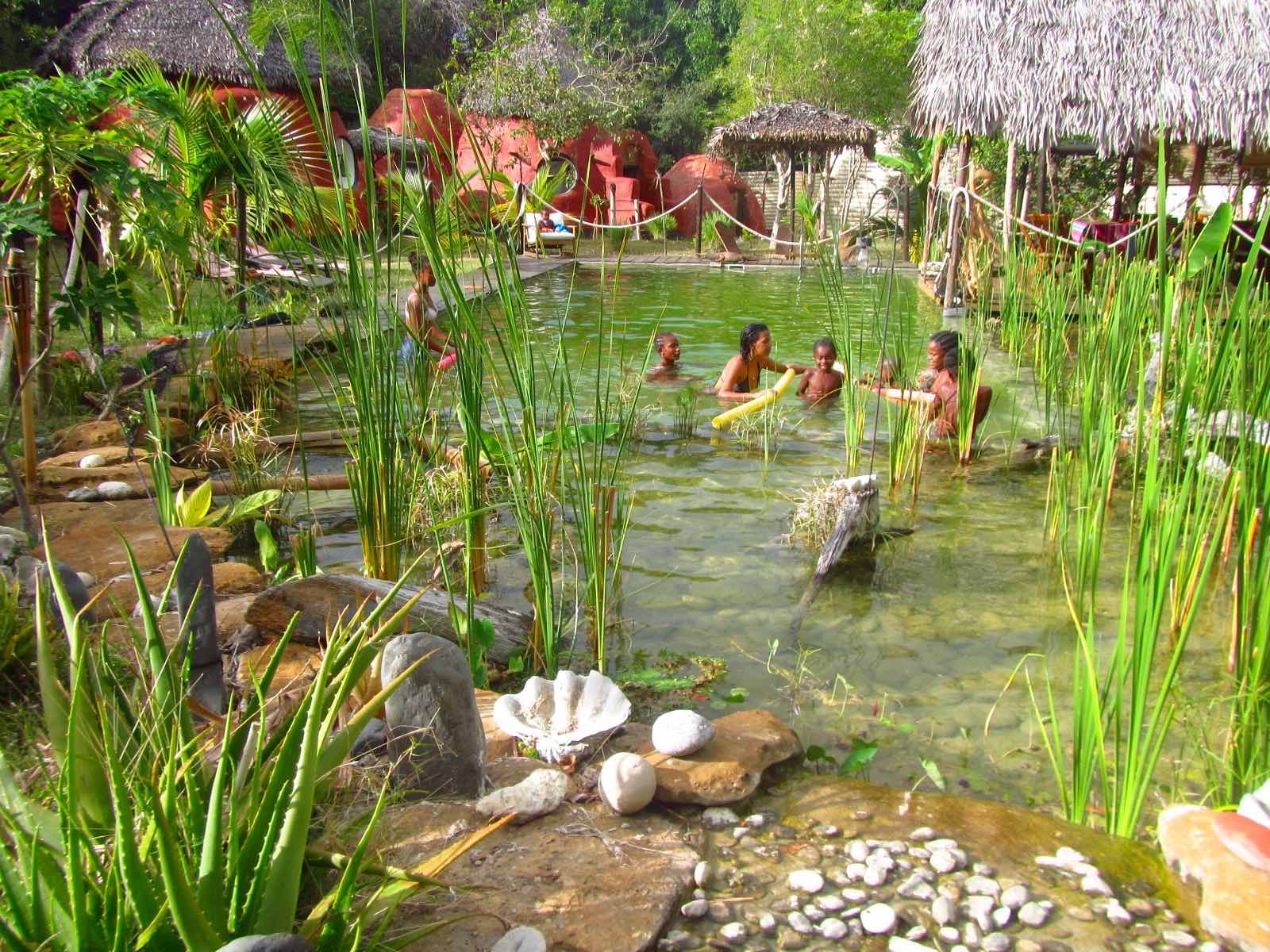 Jungle Pool - Jungle Park Adventure