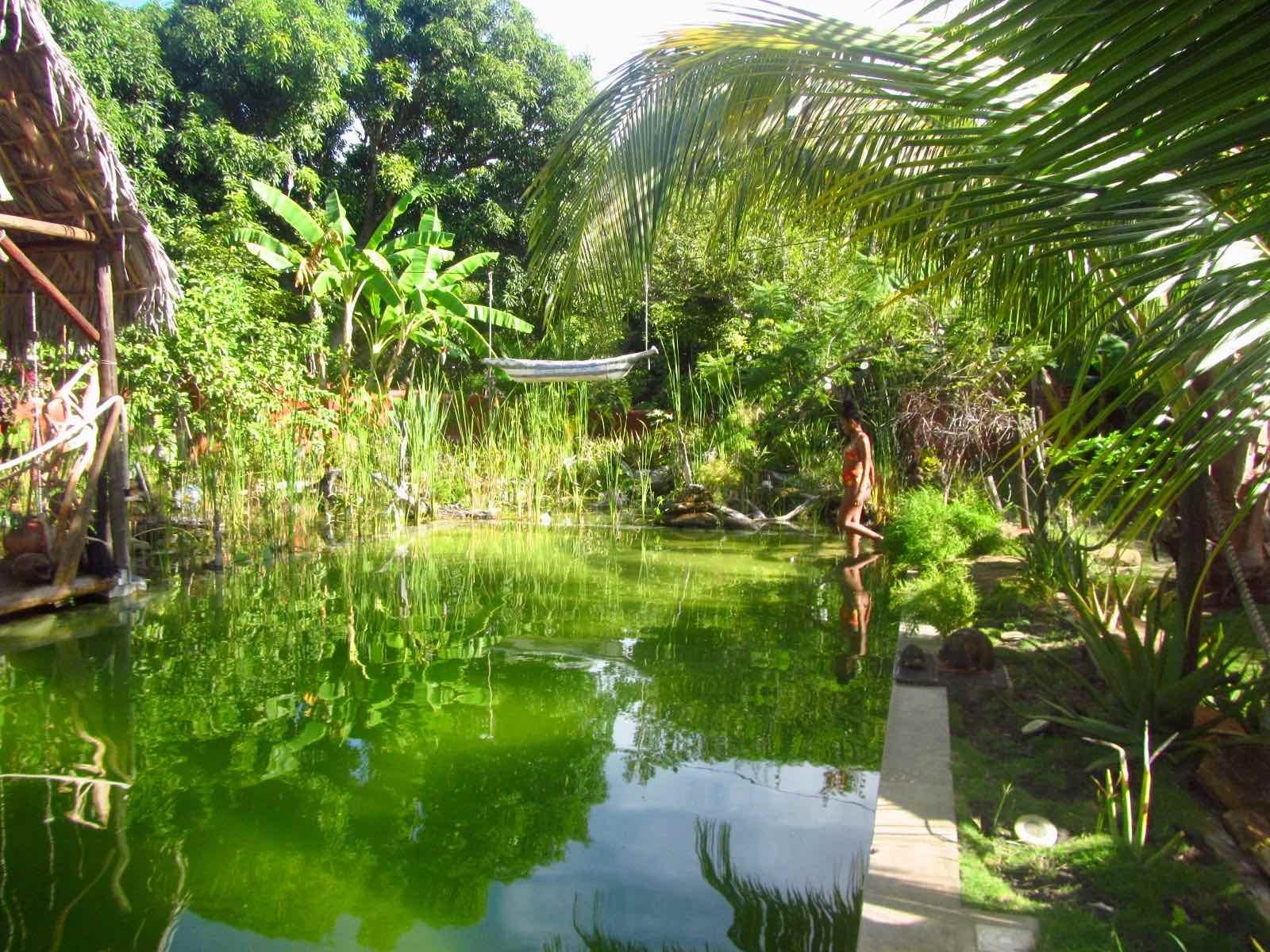 Pool5 - Jungle Park Adventure