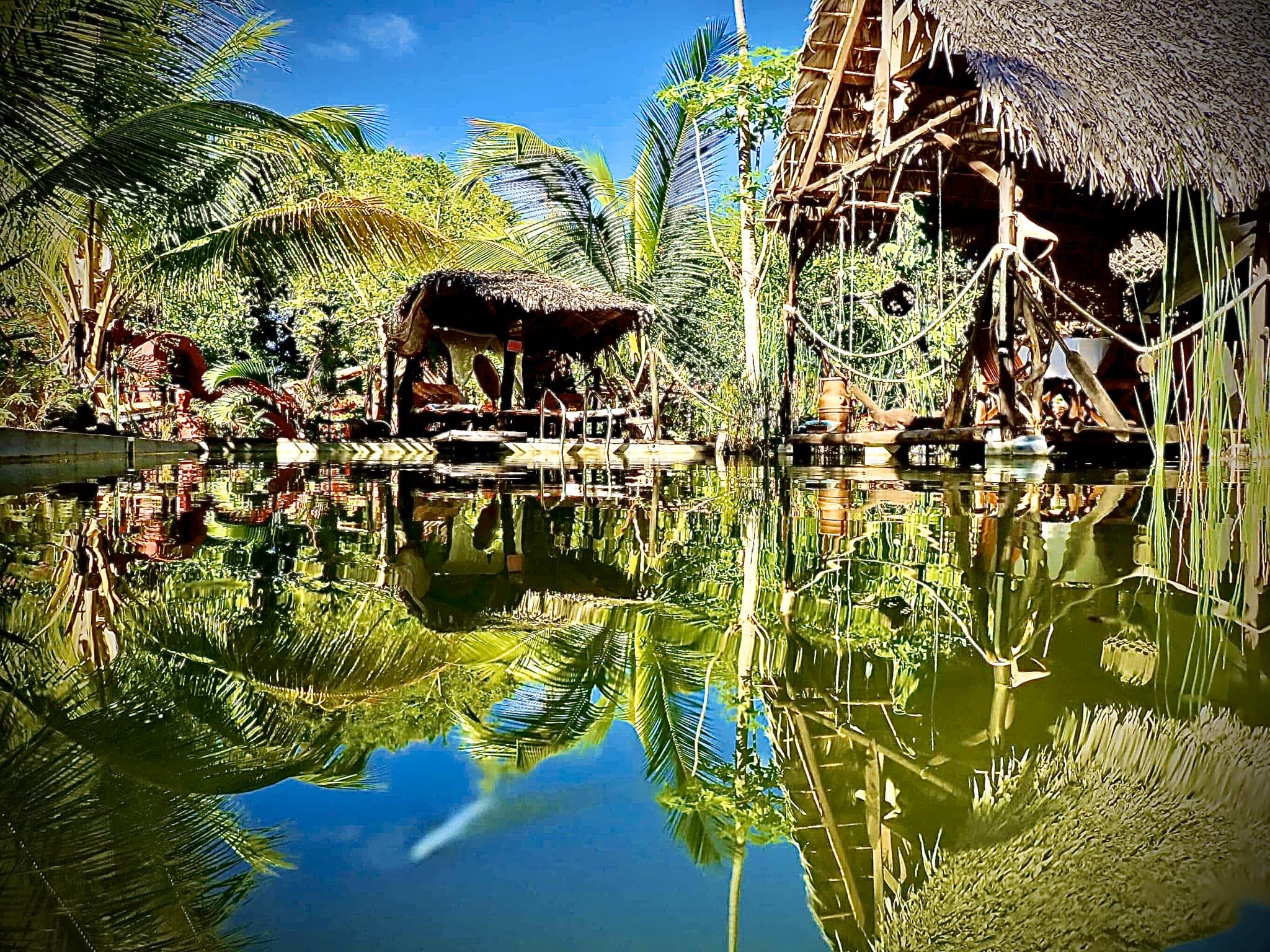 Jungle Park - Jungle Park Adventure